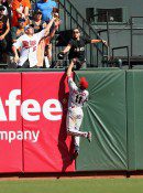 Gone! Baseball’s best and worst home run calls - Through The Fence Baseball